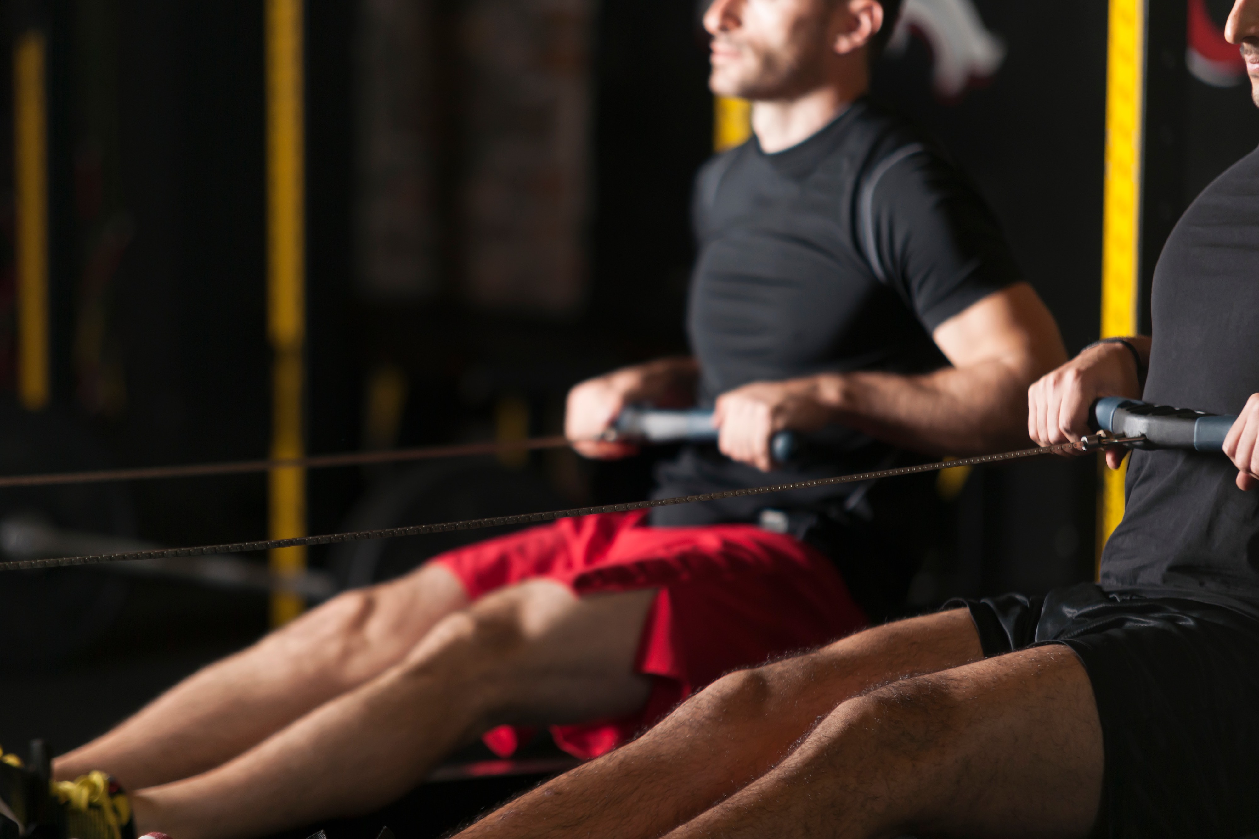 Row Hard – Row Hard or Row Home